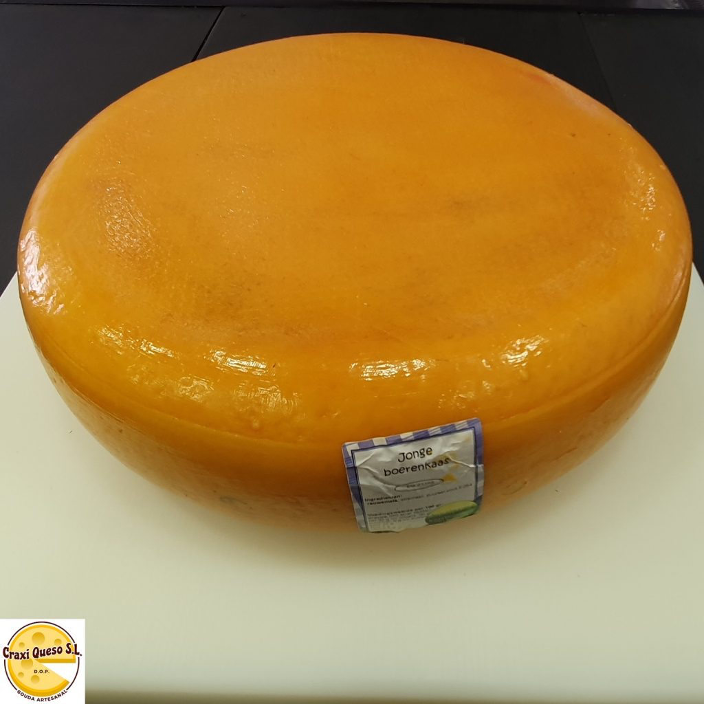 Gouda Cheese Young Matured - Gouda Semi-cured - Gouda Cheese